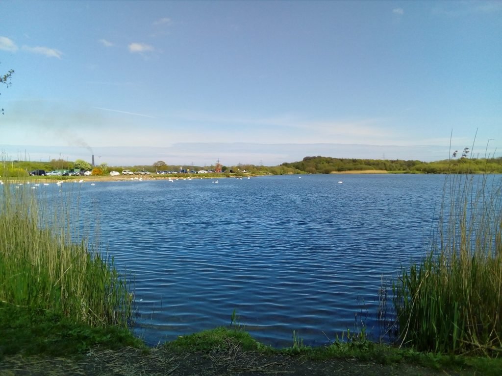 Queen Elizabeth II Country Park - Strolls With Poles - Nordic Walking