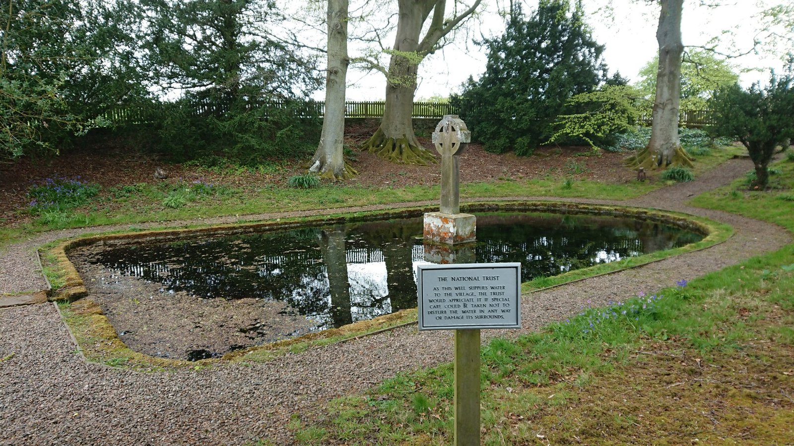 Harbottle Wood and the Drake Stone - Jun 2021 - Strolls With Poles