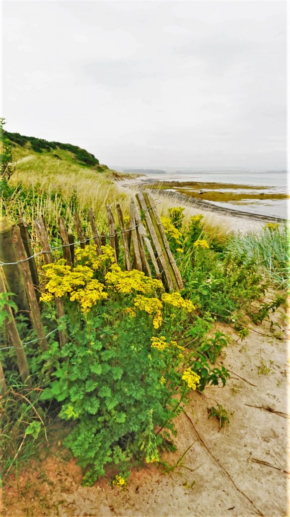 Bamburgh and Budle Bay Walk - Sept 2023 - Strolls With Poles