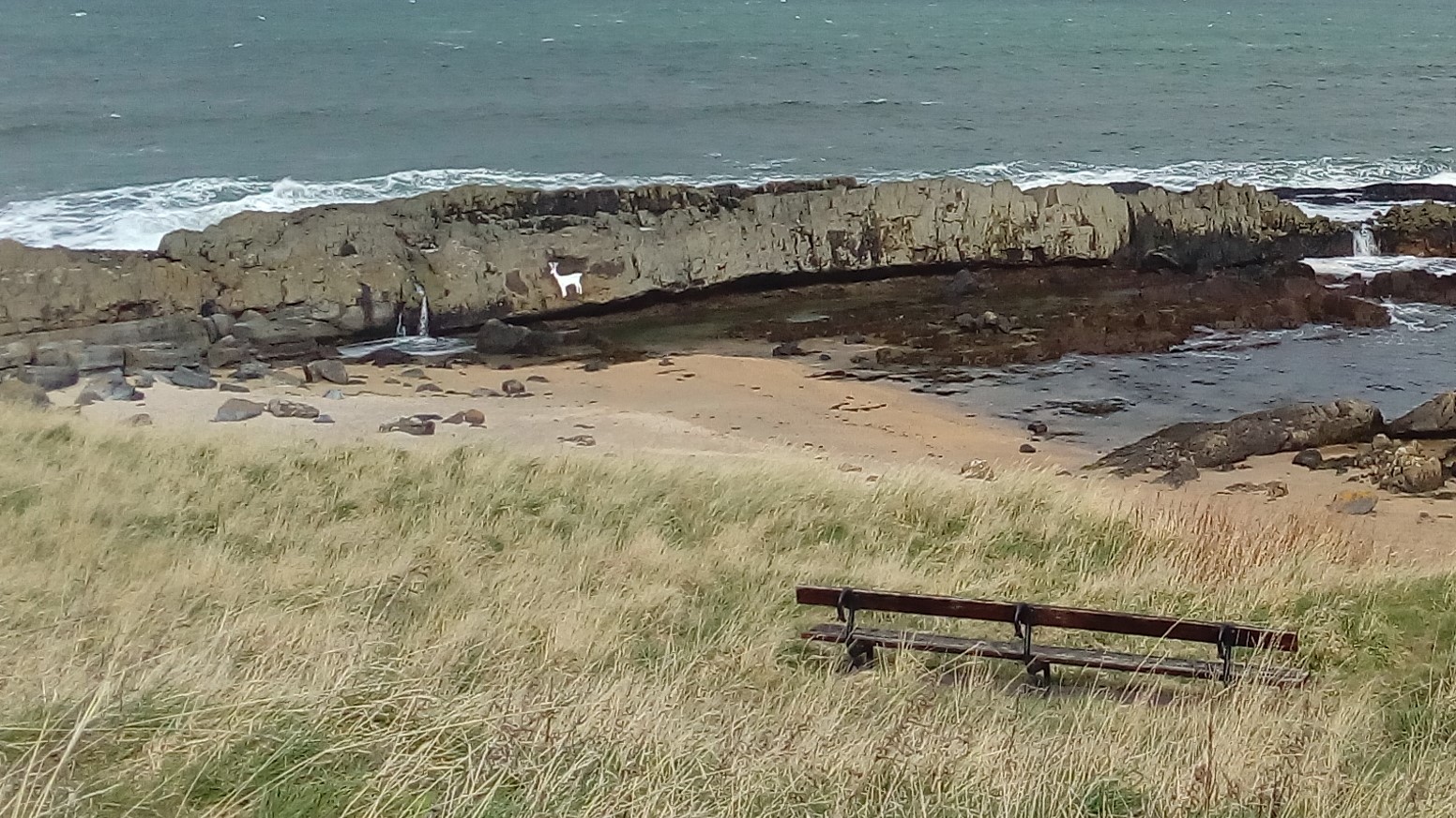 Bamburgh and Budle Bay Walk - Sep 2025 - Strolls With Poles