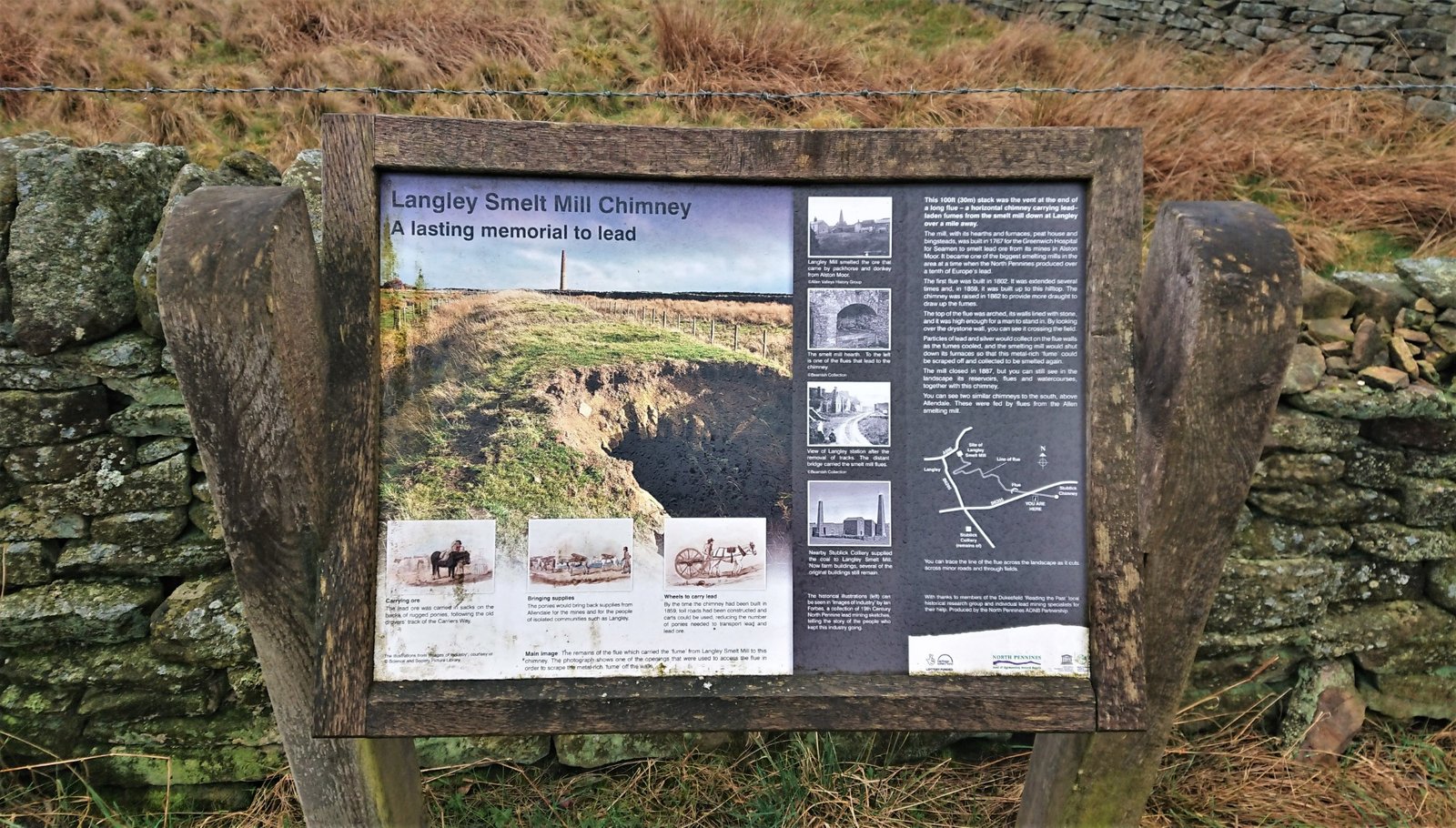 Haydon Bridge, Elrington and Langley - July 2024 - Strolls With Poles