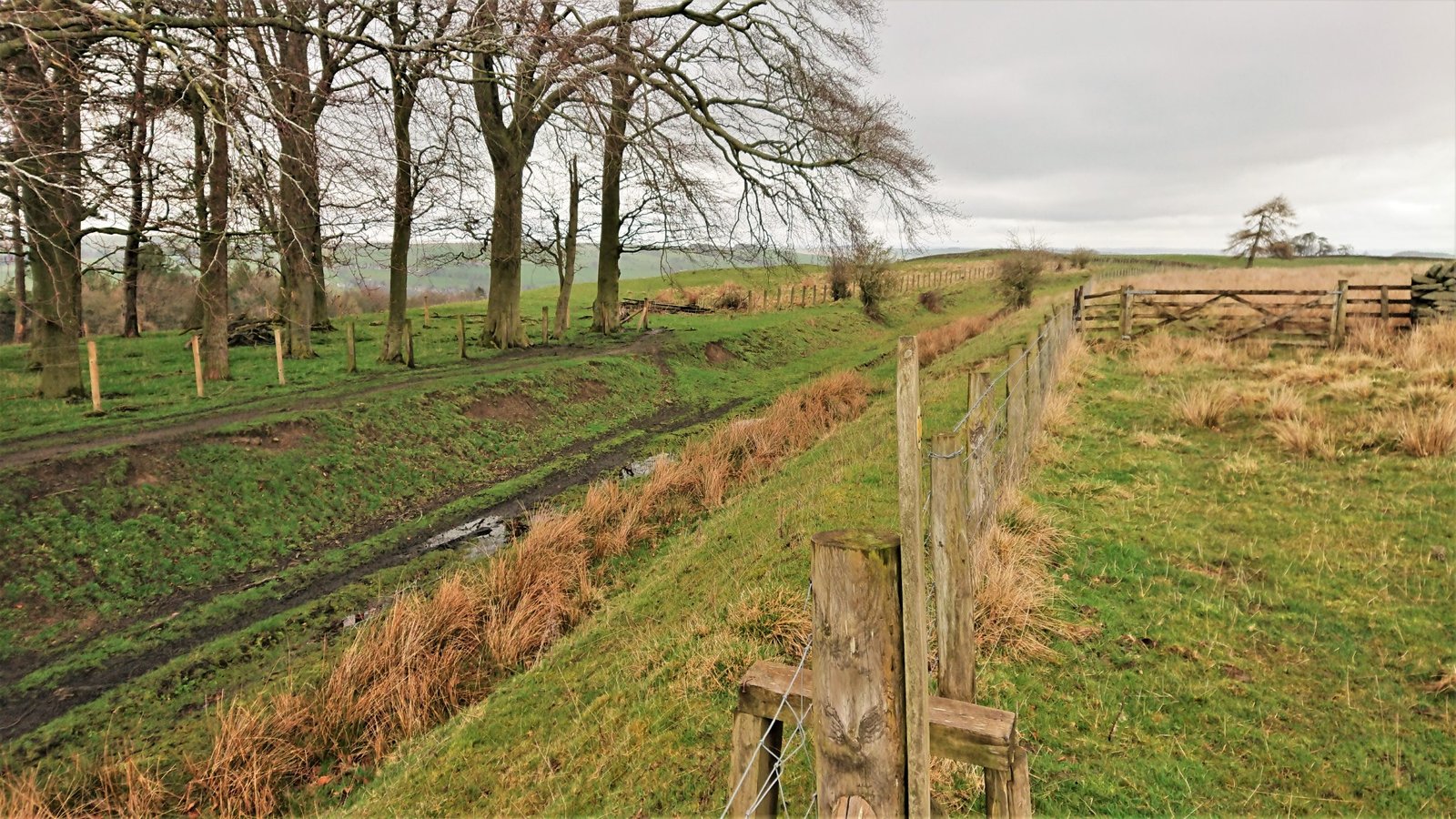 Haydon Bridge, Elrington and Langley - May 2023 - Strolls With Poles