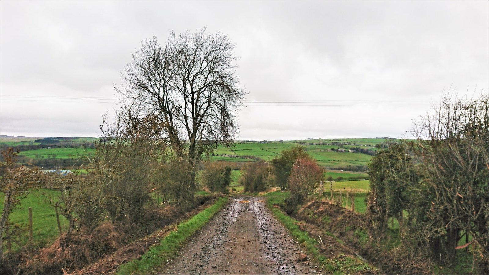 Haydon Bridge, Elrington and Langley - May 2023 - Strolls With Poles