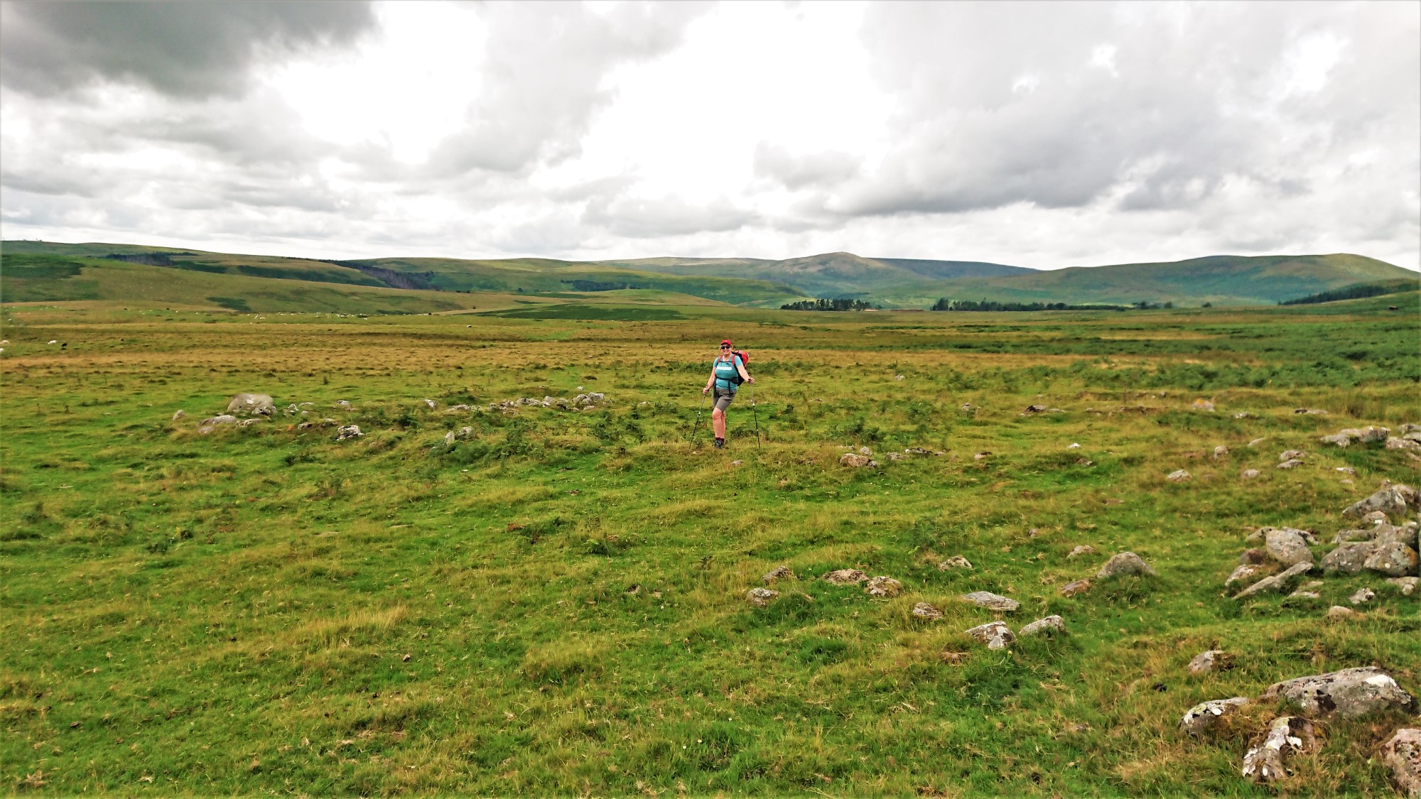 Hedgehope - Sept 2024 - Strolls With Poles