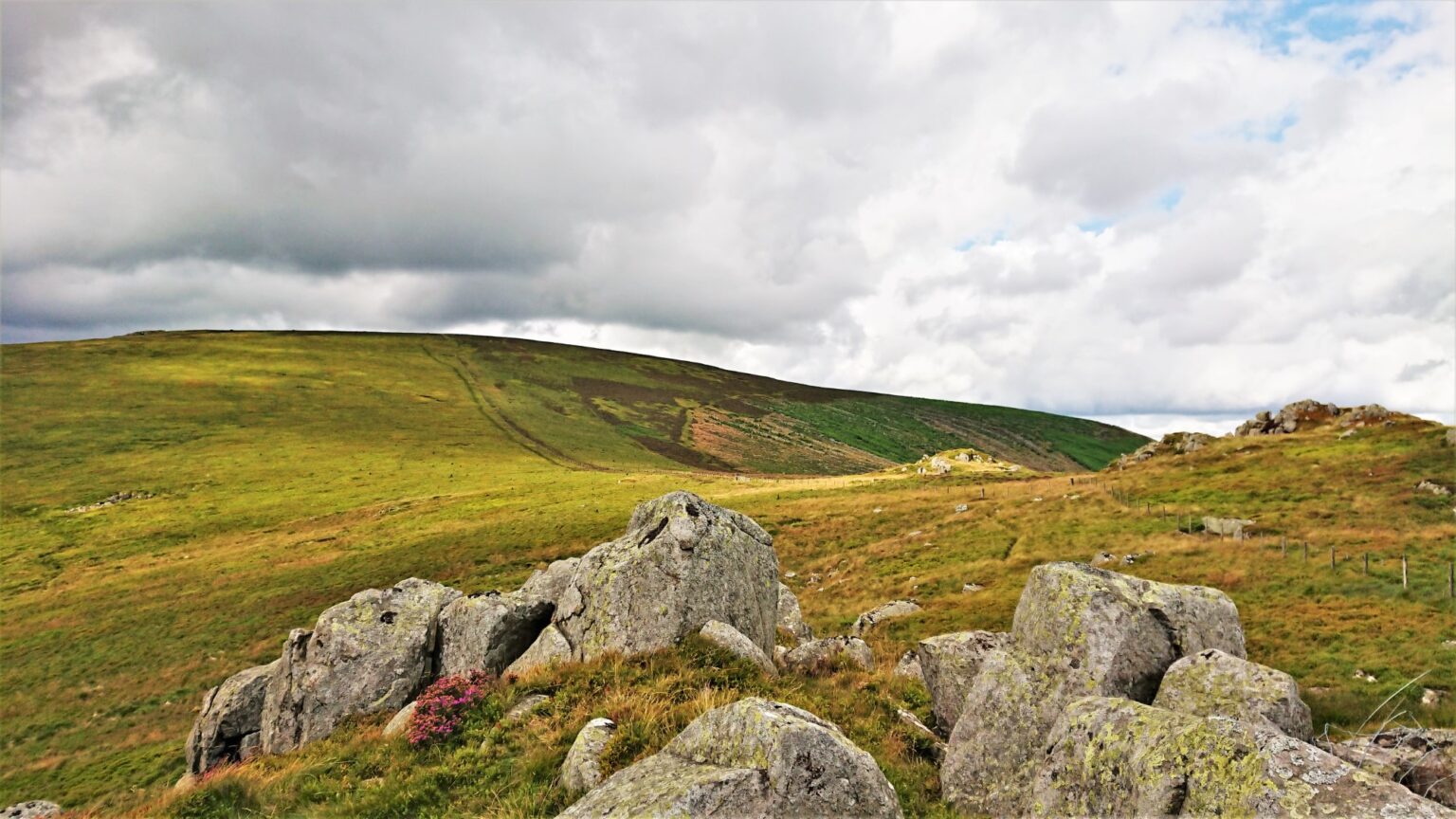 Hedgehope - Sept 2024 - Strolls With Poles