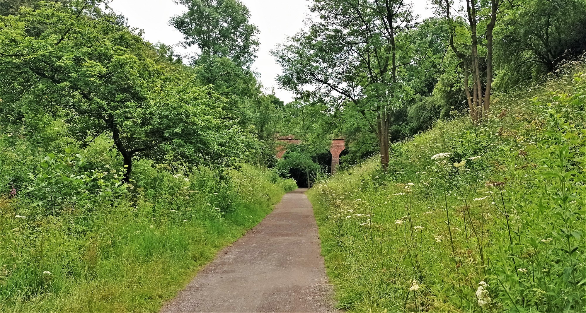 Wynyard Woodland Park Midweek Walk - Oct 2023