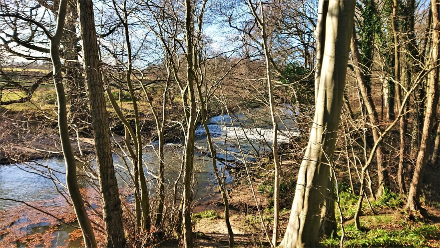 Alnwick River Walk - Jan 2024 - Strolls With Poles
