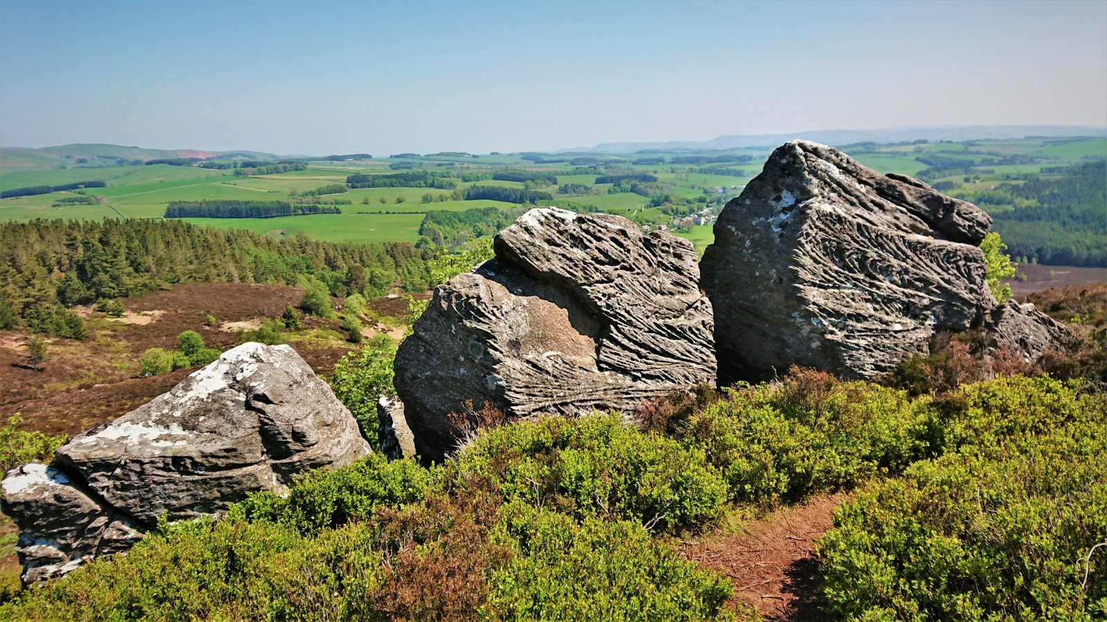 Harbottle Wood and the Drake Stone - Jun 2021 - Strolls With Poles