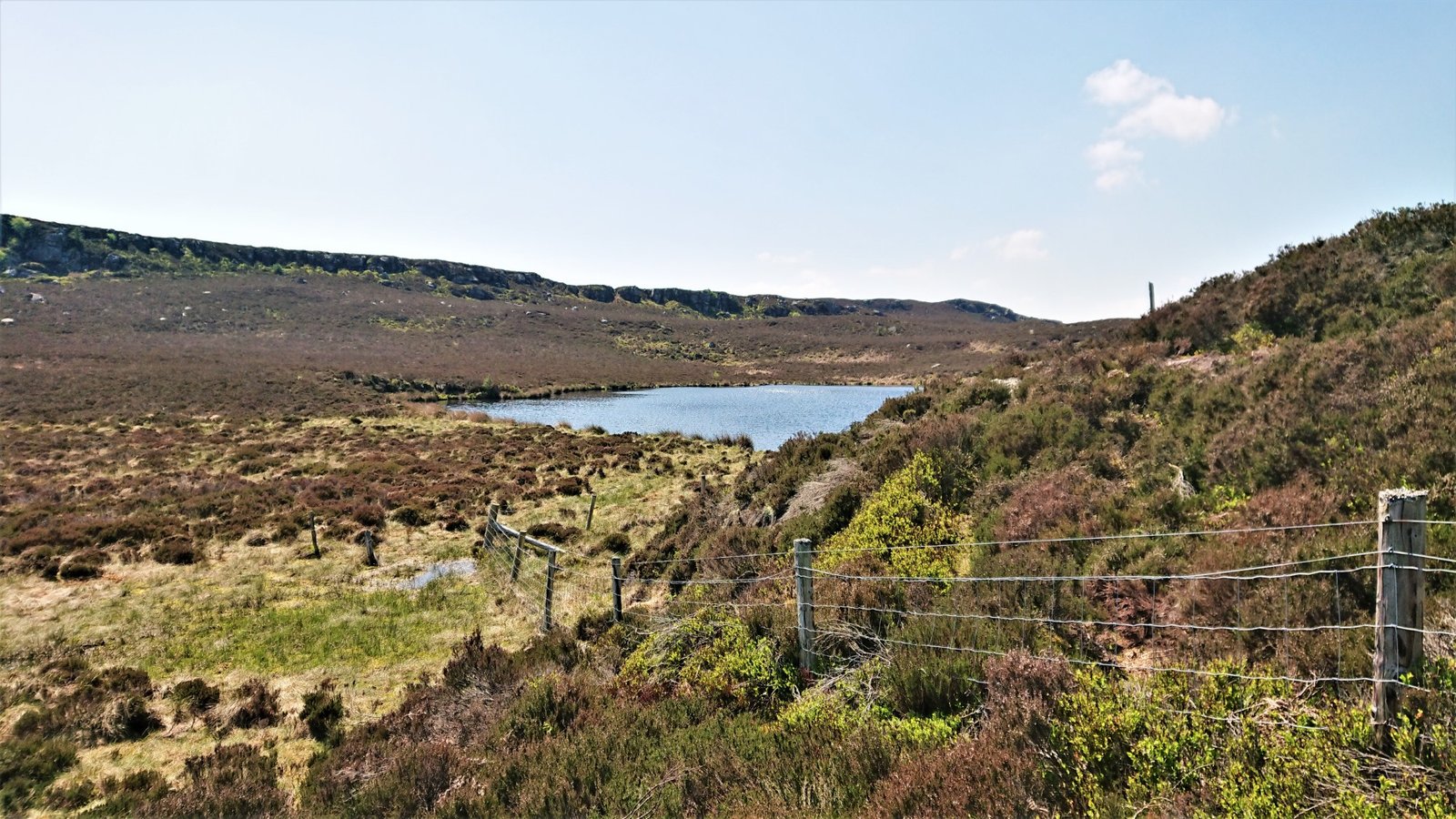 Harbottle Wood and the Drake Stone - Jun 2021 - Strolls With Poles