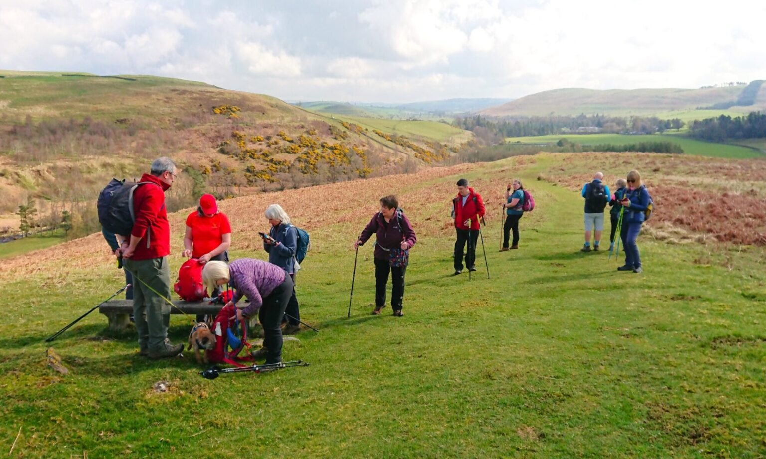 Derwent Walk Country Park - Strolls With Poles - Nordic Walking