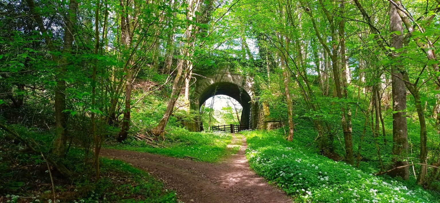 Hexham and Coastley - Jun 2025 Strolls With Poles