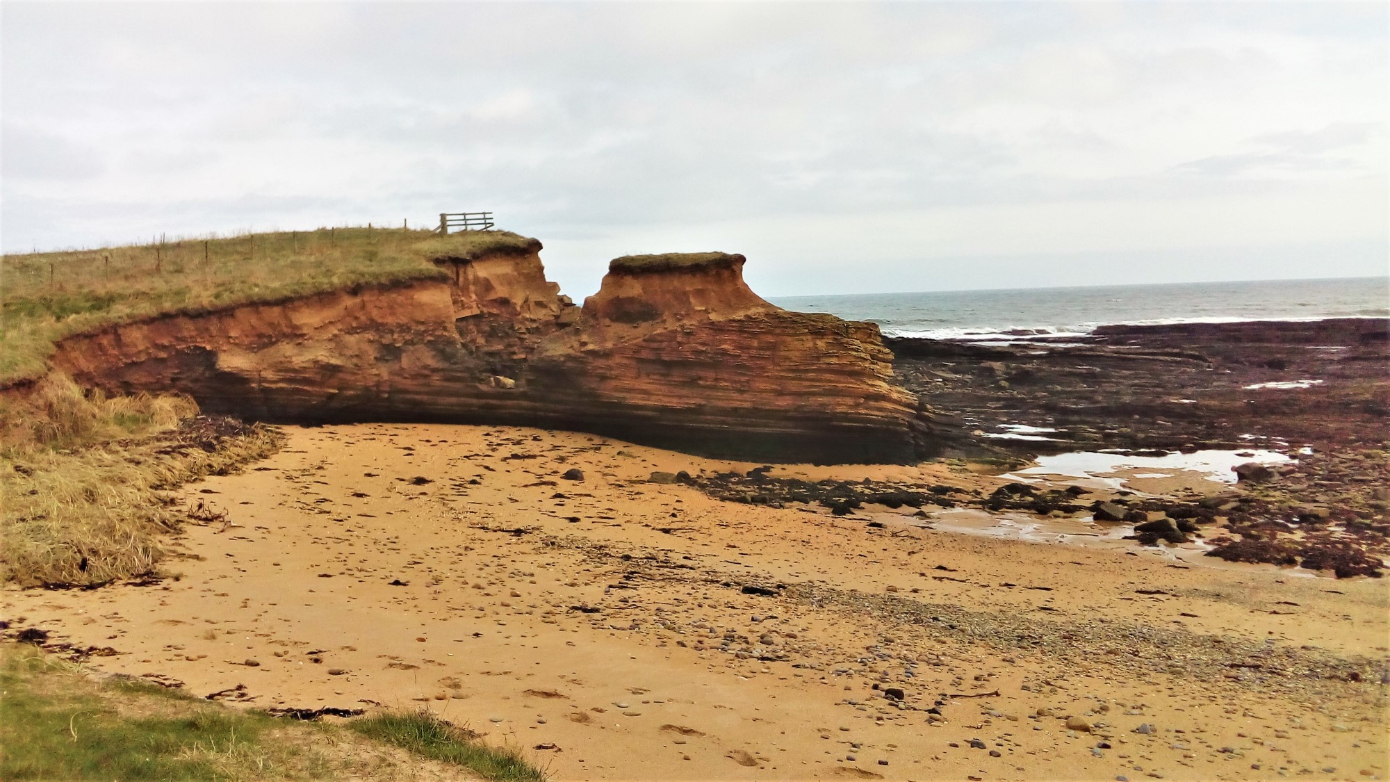 Howick and Craster - Apr 2021 - Strolls With Poles - Nordic Walking